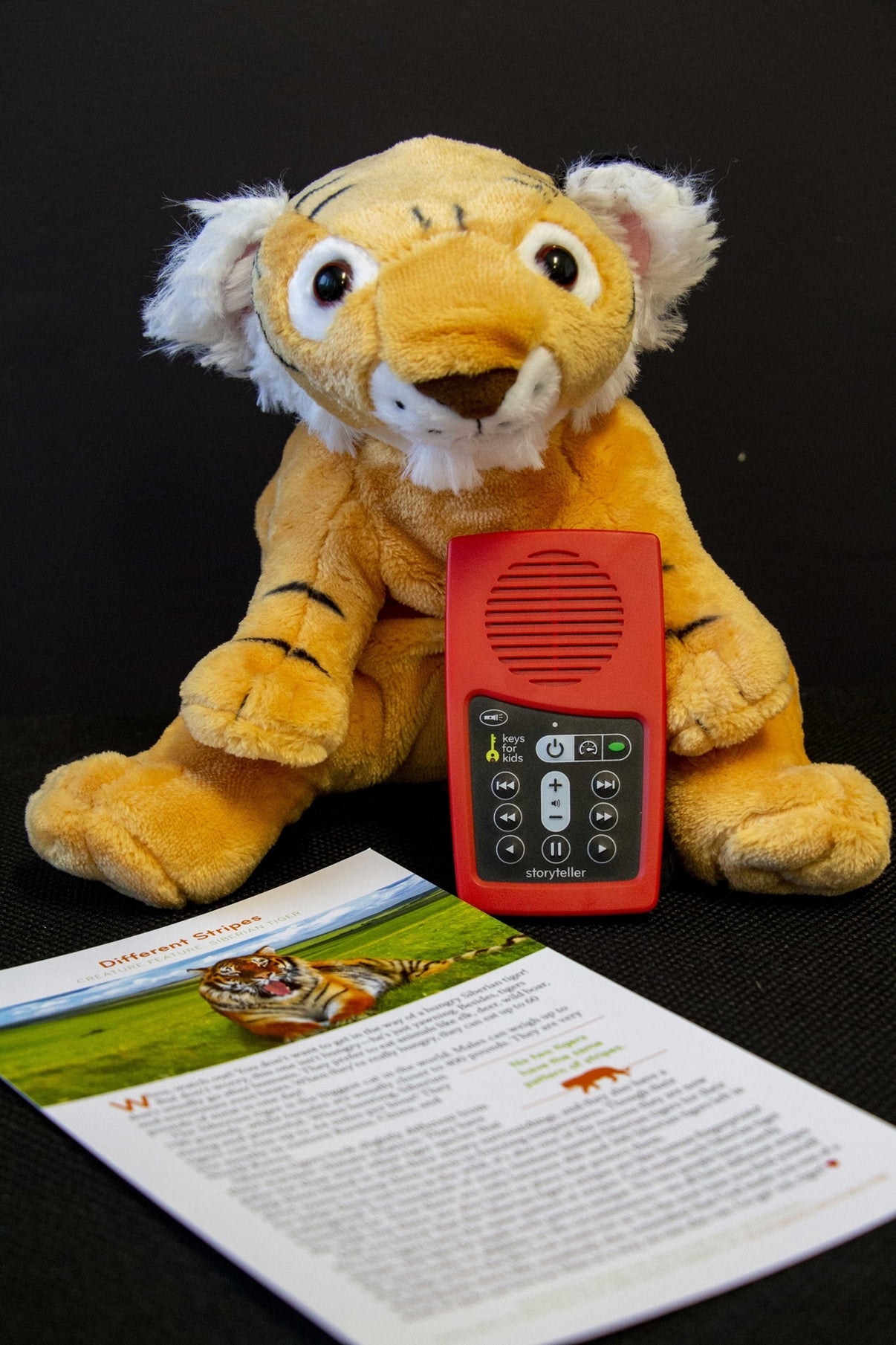 Storyteller Creature Feature (Stuffed Animal Only) – Keys for Kids ...